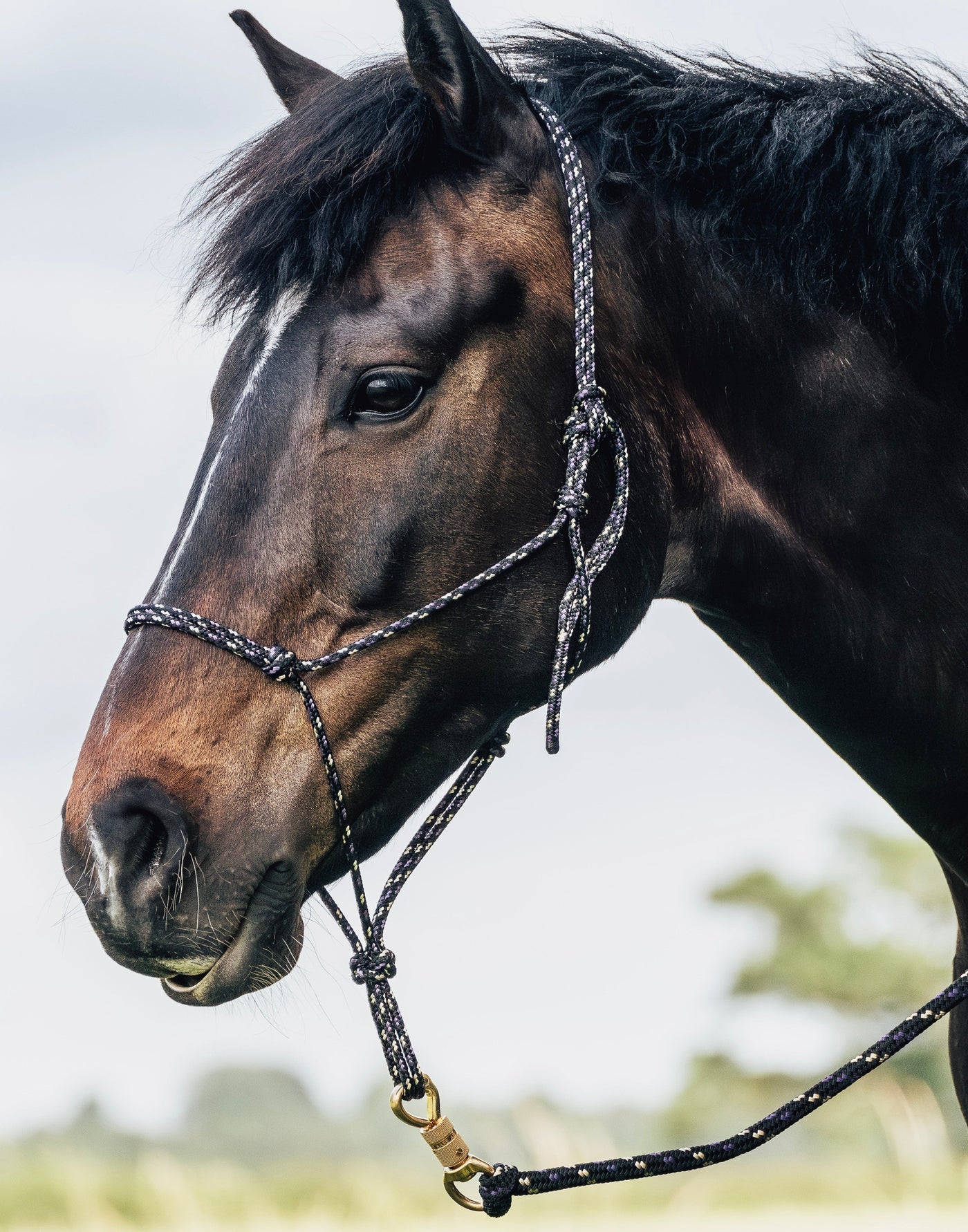 Total Horsemanship | Natural Horsemanship Ropes & Equipment
